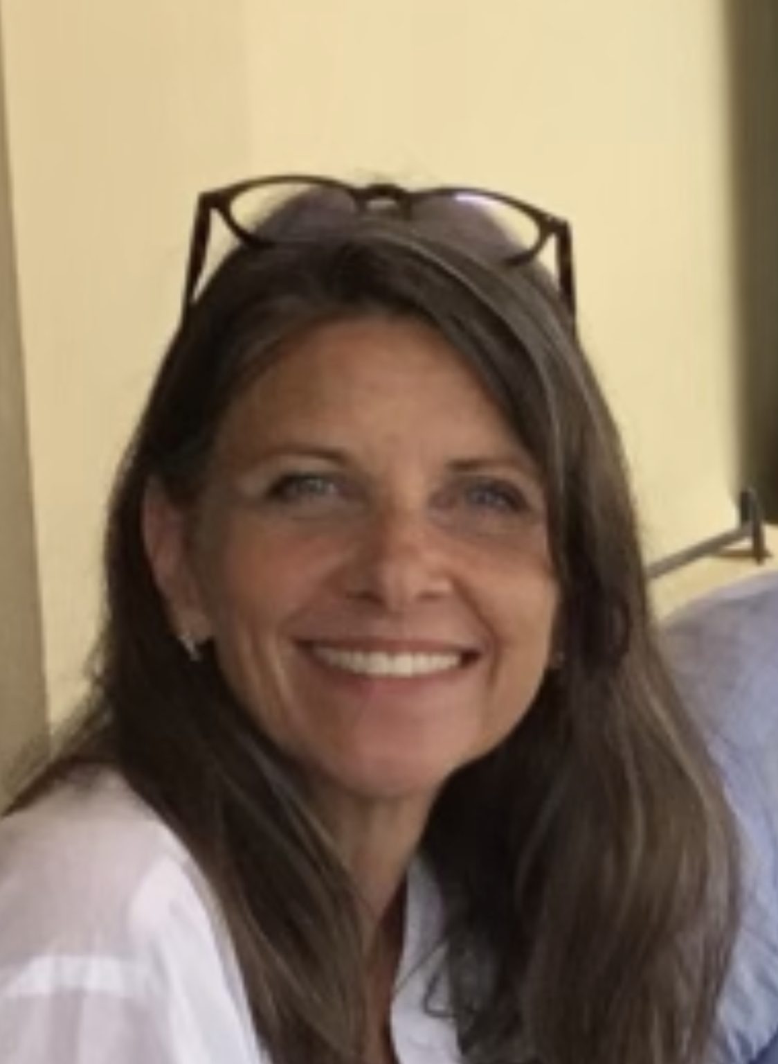 Lægerne Bohsen og Hyllested